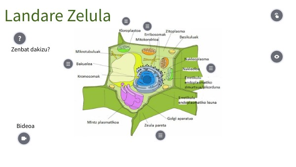 Landare zelula | Genially