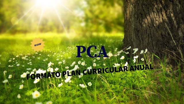 FORMATO PCA