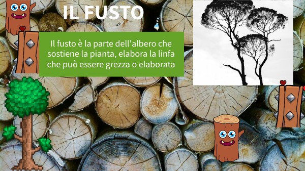 IL FUSTO