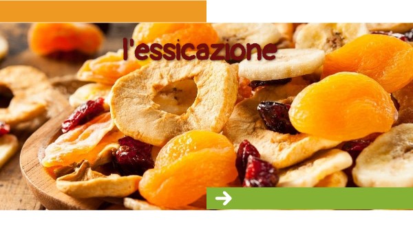 presentazione essiccazione