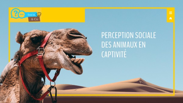 Perception sociale des animaux en captivité | Genially