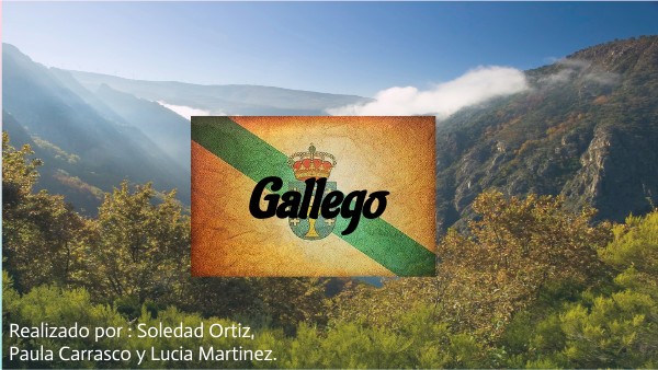 El gallego | Genially