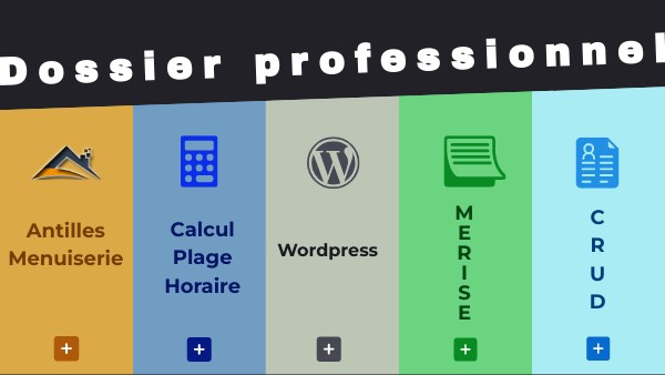 Dossier professionnel