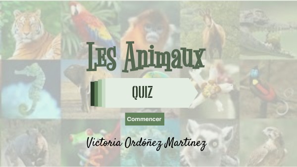 Quiz animaux