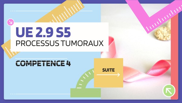 PRESENTION UE 2.9 S3