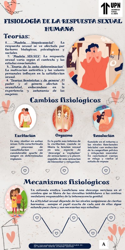 Respuesta Sexual Humana | Genially