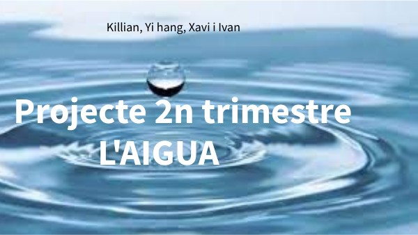 PROJECTE 2n trimestre | Genially