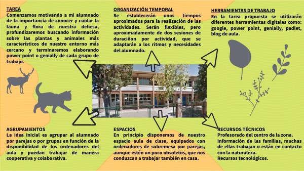 Línea temporal o mapa mental