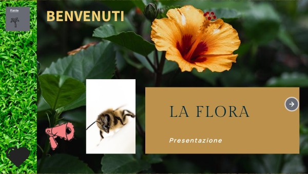 Compito Corso Genially