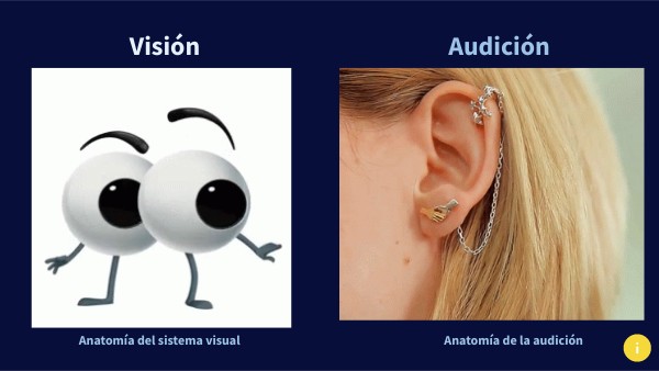 Visión y audición | Genially