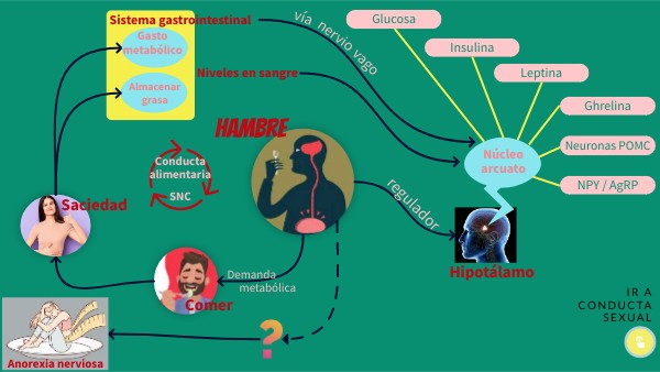 Conducta sexual y alimentaria | Genially