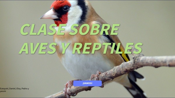 Aves y Reptiles | Genially