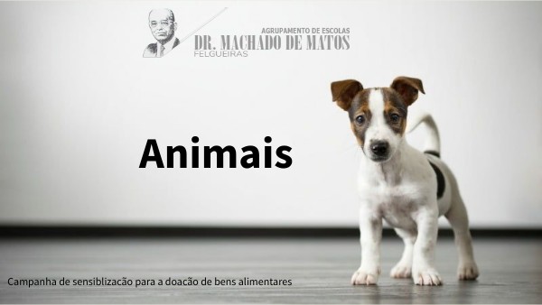 animal ESCAPE ROOM | Genially