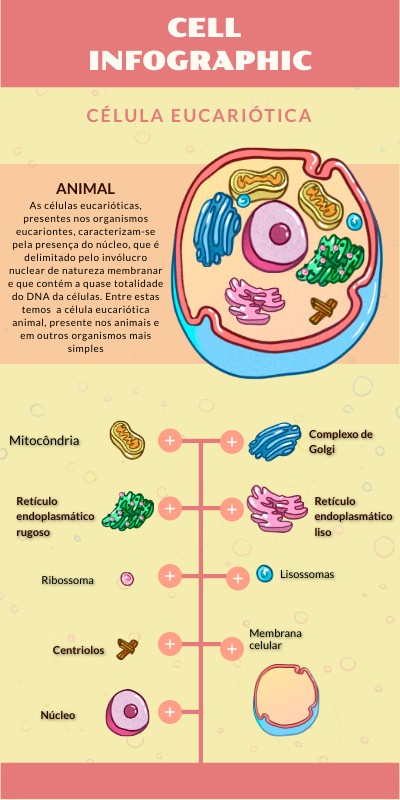 CELL VERTICAL INFO