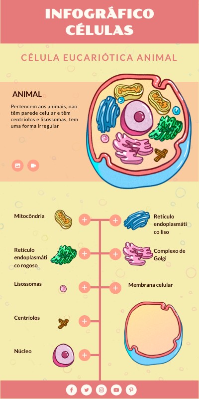 Infográfico célula | Genially