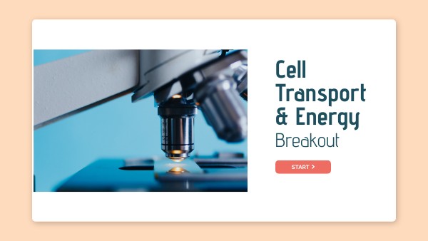 Cell Transport & Energy Breakout