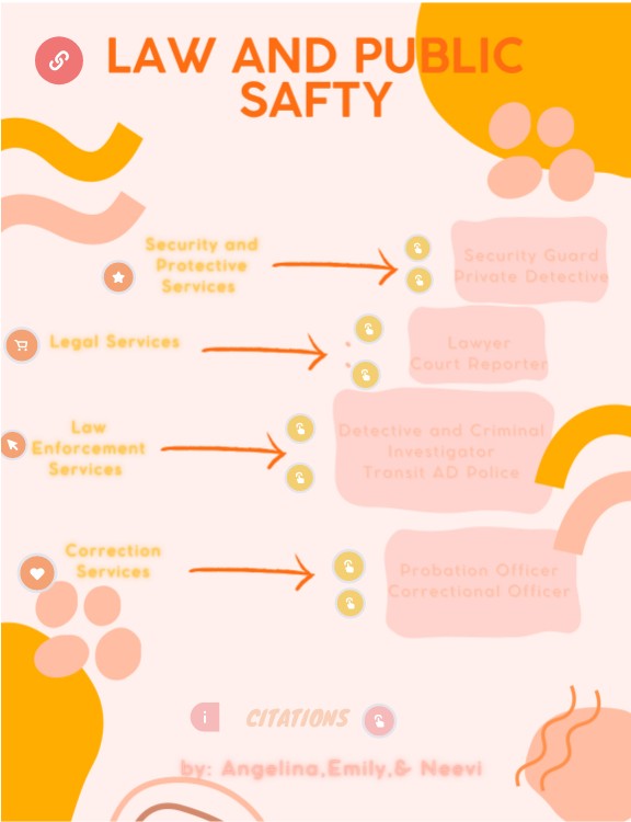 Law/Public Safety Cluster