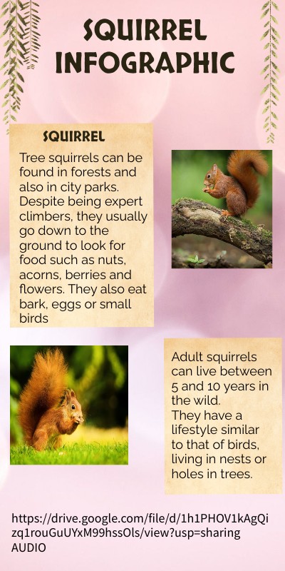 SQUIRREL INFOGRAPHIC | Genially