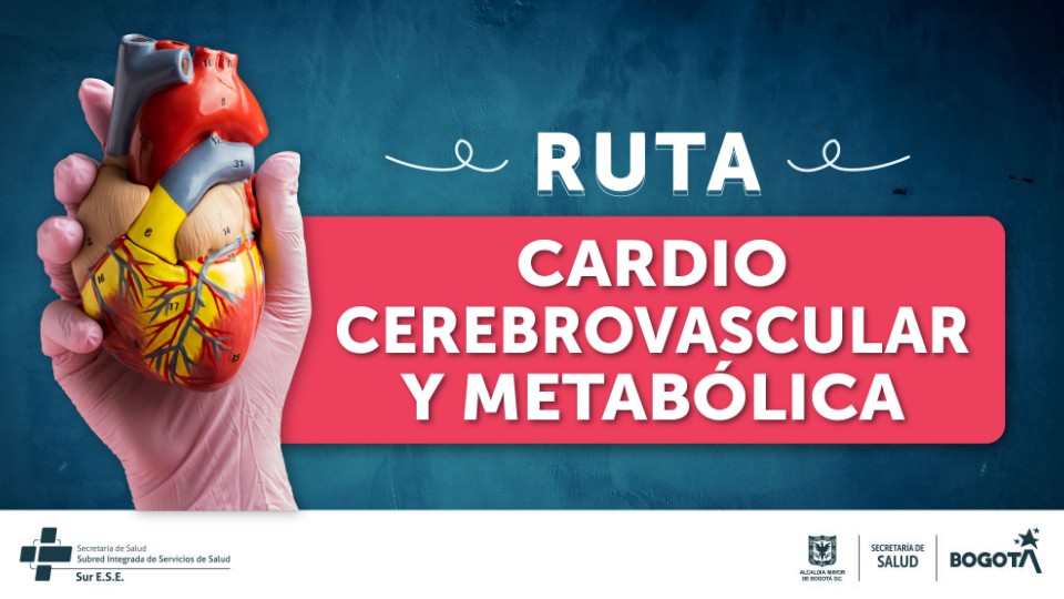 RUTA CARDIO CEREBROVASCULAR Y METABÓLIC | Genially