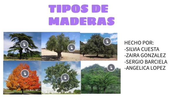 presentacion tec arboles