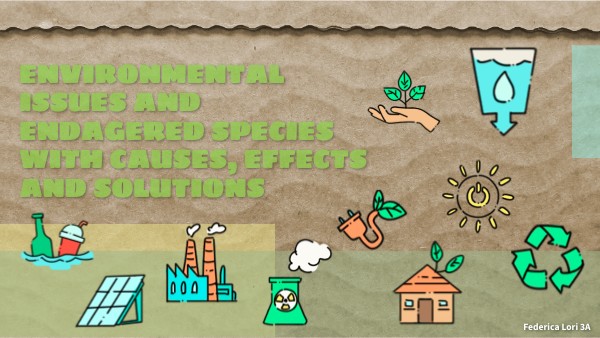 environmental issues