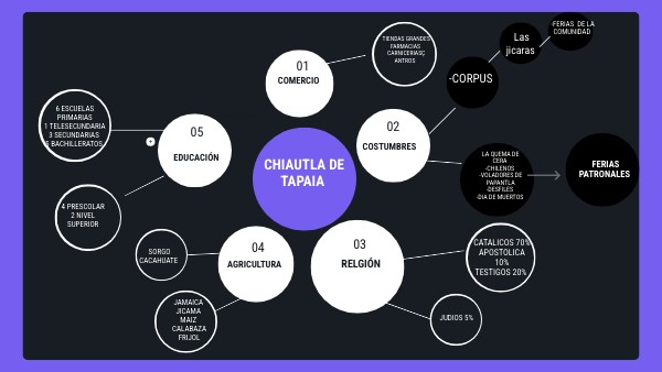 MAPA CONCEPTUAL CIRCULAR