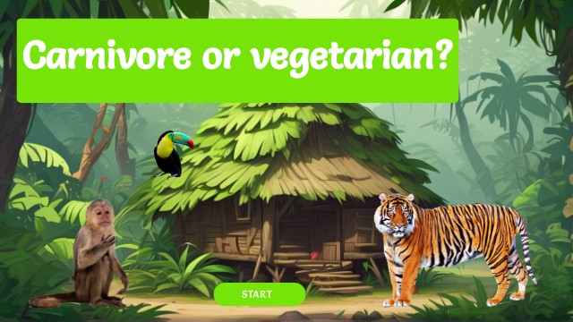 Let's feed the jungle animals