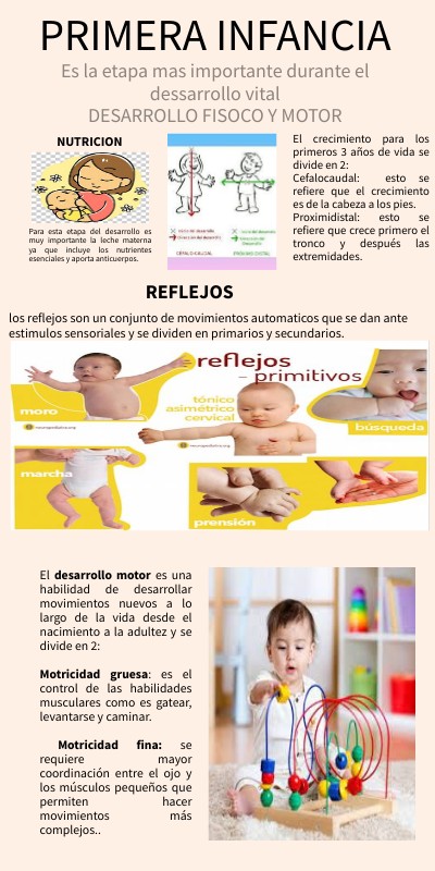 BASIC DIGITAL INFO | Genially