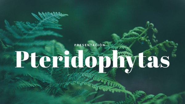 Presentación Pteridophyta | Genially