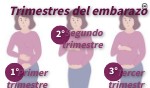 Trimestres