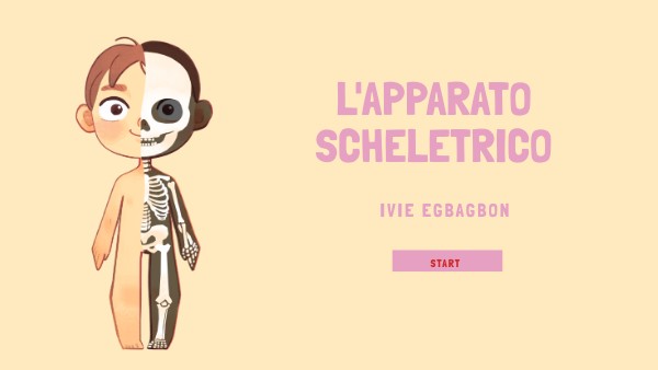 L'apparato locomotore | Genially