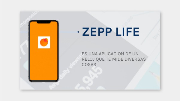 ZEPP LIFE