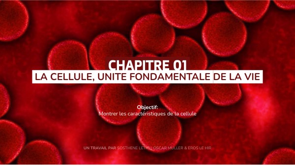 Ch 01. La Cellule