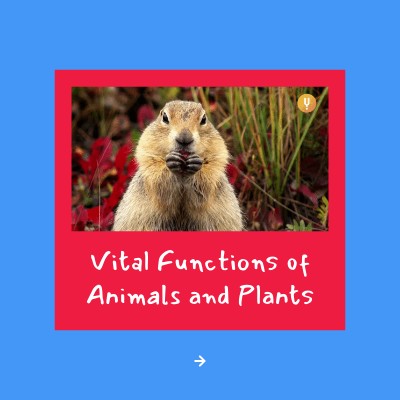How do Animals and Plants Adapt to their Environment