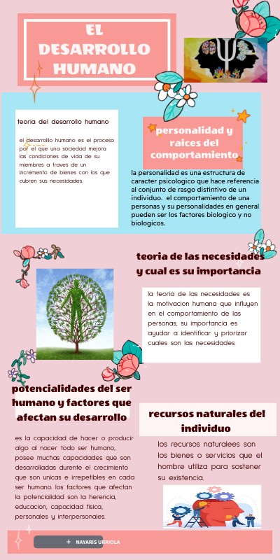 infogragia elaboracion de proyectos | Genially