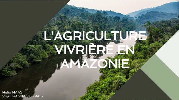 Agriculture vivrière en amazonie - diapo* | Genially