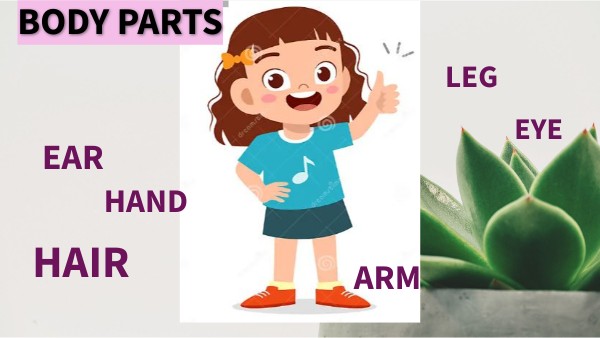 BODY PARTS | Genially