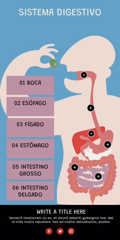DIGESTIVE VERTICAL INFO