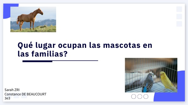 BASIC SHAPES PRESENTATION