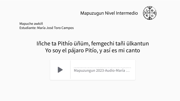Mapuche awkiñ | María José Toro