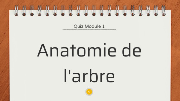 La taille Module 1