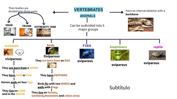 Vertebrates animals | Genially