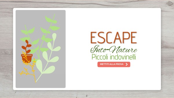 Escape Into-Nature