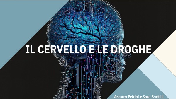 CERVELLO E DROGHE
