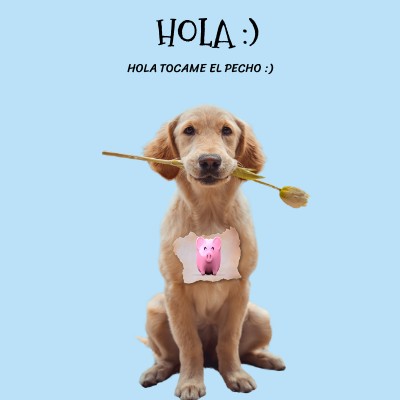 HOLA