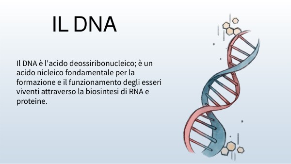 IL DNA | Genially