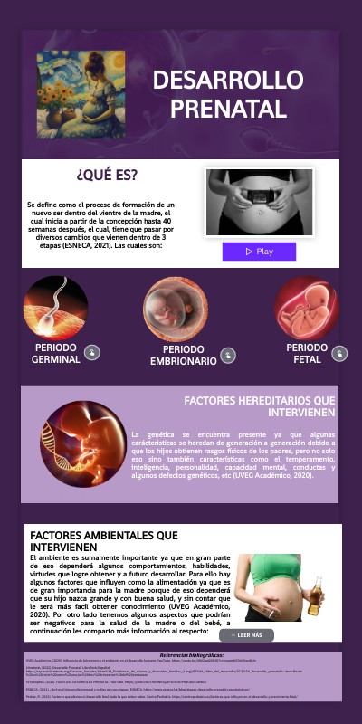 Infografía Desarrollo Prenatal | Genially