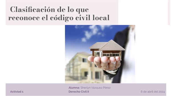 Clasificación de lo que reconoce el código civil local | Genially