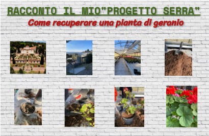 Il mio progetto serra