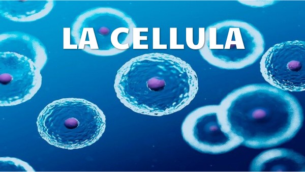 Presentazione sulla cellula | Genially